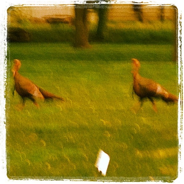 Spectrum Surgical Instruments - Office in Stow