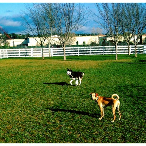 Redhawk Community Dog Park - Redhawk - 5 tips from 223 visitors