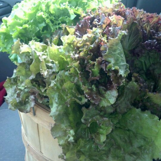 Top 92+ Pictures Von Thun's Country Farm Market Photos Sharp