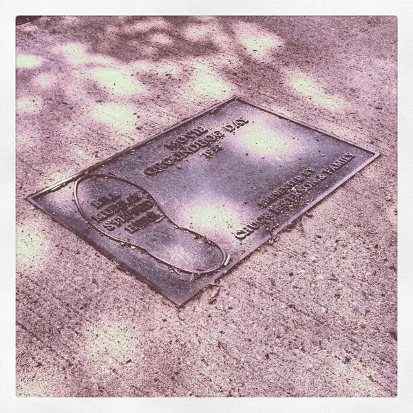 Photos at Bill Murray Stepped Here -- The Puddle From "Groundhog Day ...