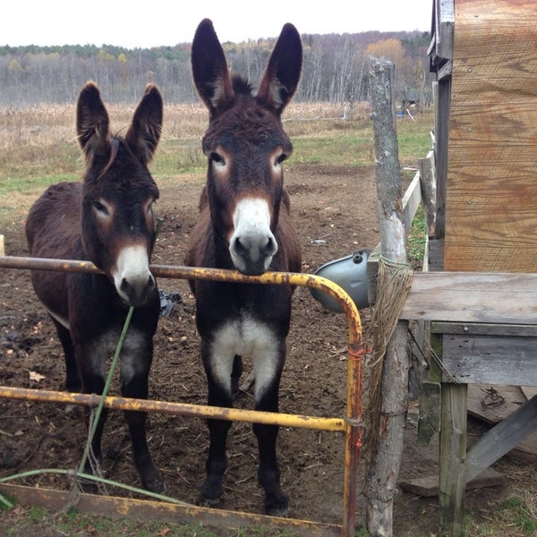 The Beekman Farm - 1 tip from 51 visitors