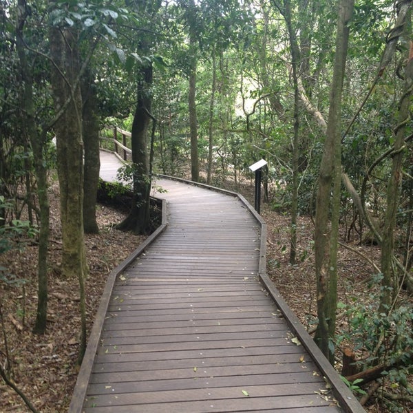 Photos at O'Reilly's Tree Top Walk - Hiking Trail