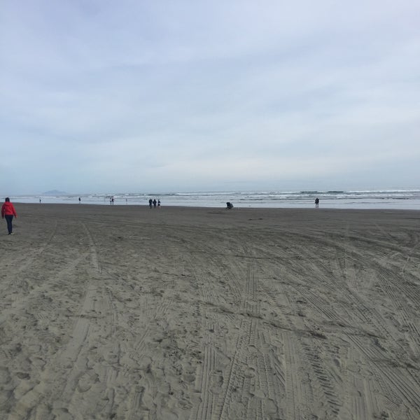Foxton Beach - Beach in Foxton Beach