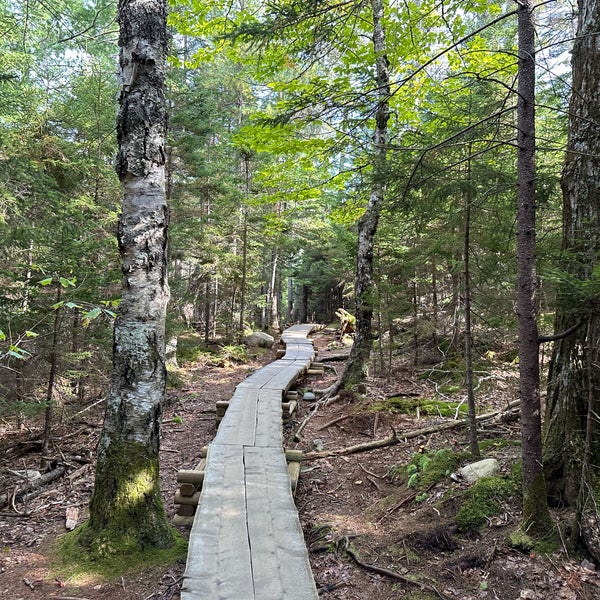 Jordan Pond Path - Hiking Trail