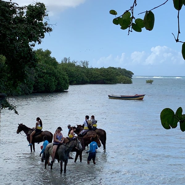 Chukka Caribbean Adventures, Chukka Cove - 3 tips from 65 visitors