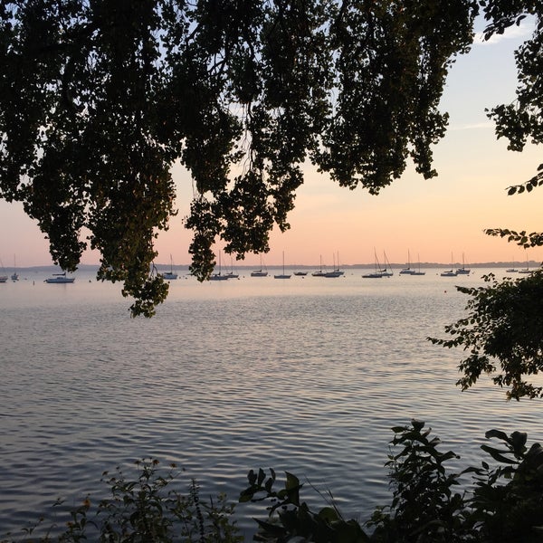 Photos at Howard M. Temin Lakeshore Path - 4 tips from 296 visitors
