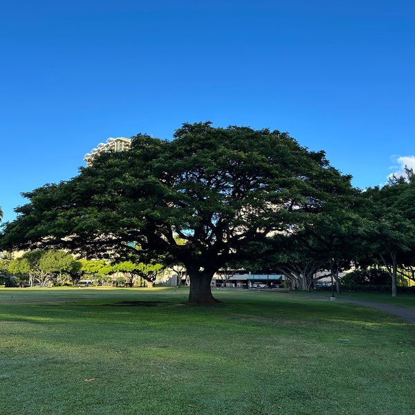 Kuroda Field - Waikiki - 1 tip