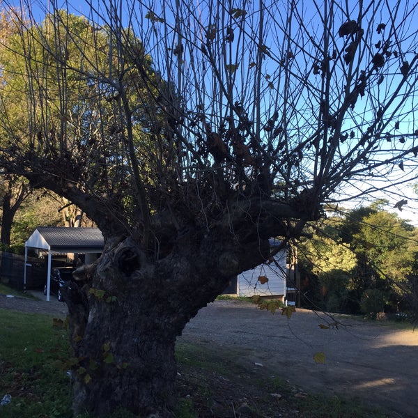 Faulconbridge - Faulconbridge, NSW