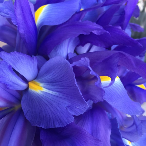 Produce Junction - 14 tips