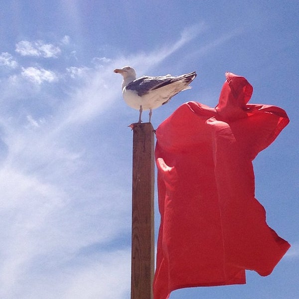 Ho-hum Beach - Beach in Bellport