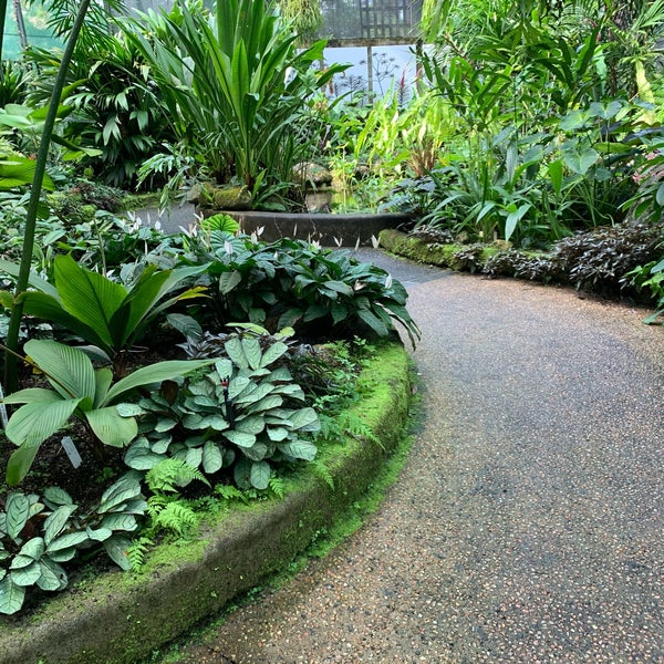 Botanic Gardens Restaurant Cafe - Café