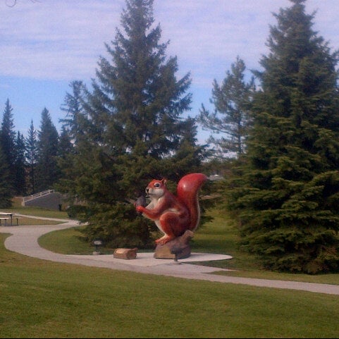 Eddie the Squirrel - Edson, AB