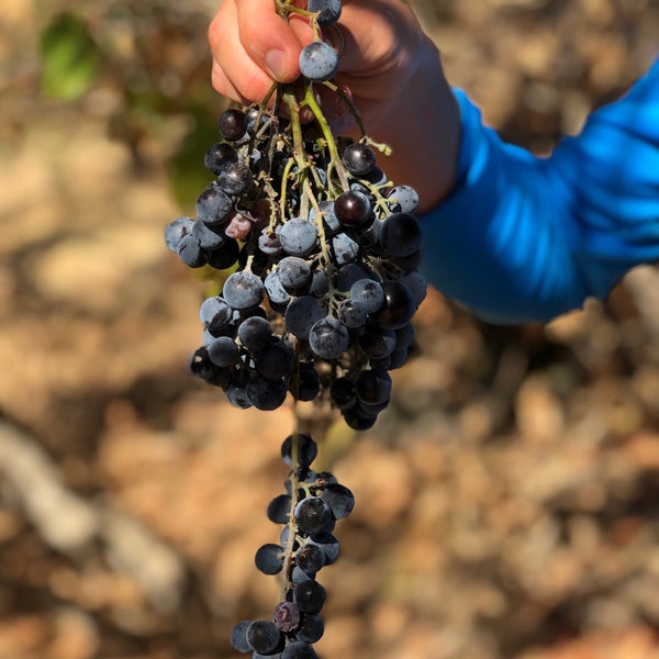 Goodwin Dam Recreation Area - River in Jamestown