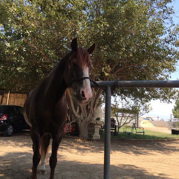 Photos at Ramsey Ranch - Norco Farms - Norco, CA