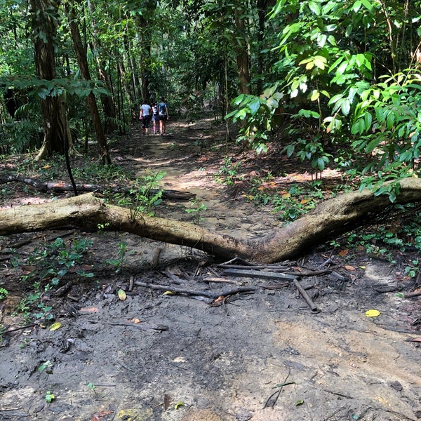 Trailhead@Mandai Road Track 15 Park Connector - Central Catchment ...