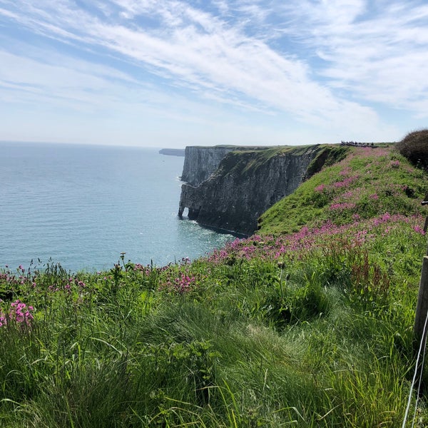 Bempton Cliffs - Bempton, East Yorkshire