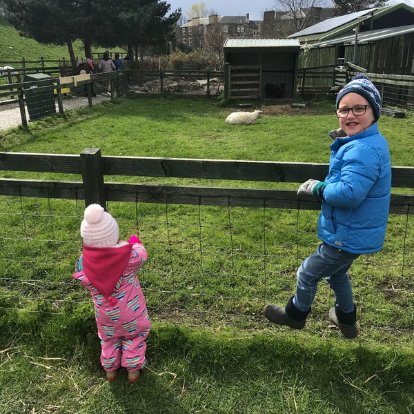 Gorgie City Farm - Gorgie - Edinburgh, City of Edinburgh