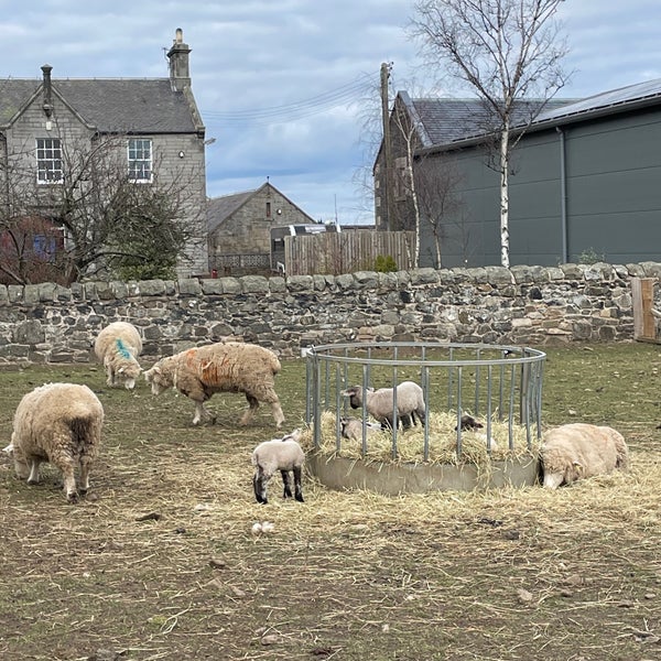 Craigies Farm Deli and Cafe - West Craigie Farm