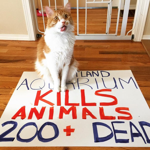 Portland Aquarium - 18 tips from 567 visitors