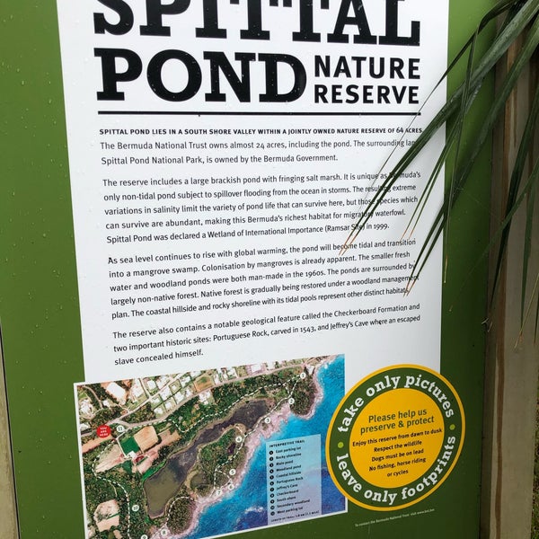 Spittal Pond