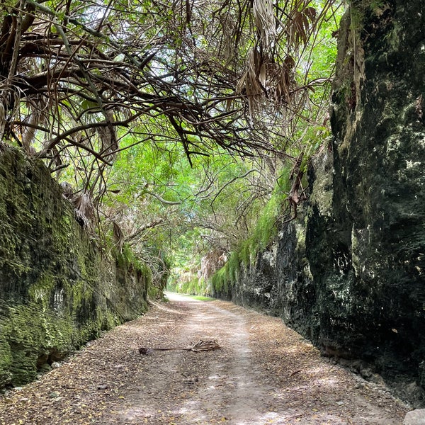 Bermuda Railway Trail