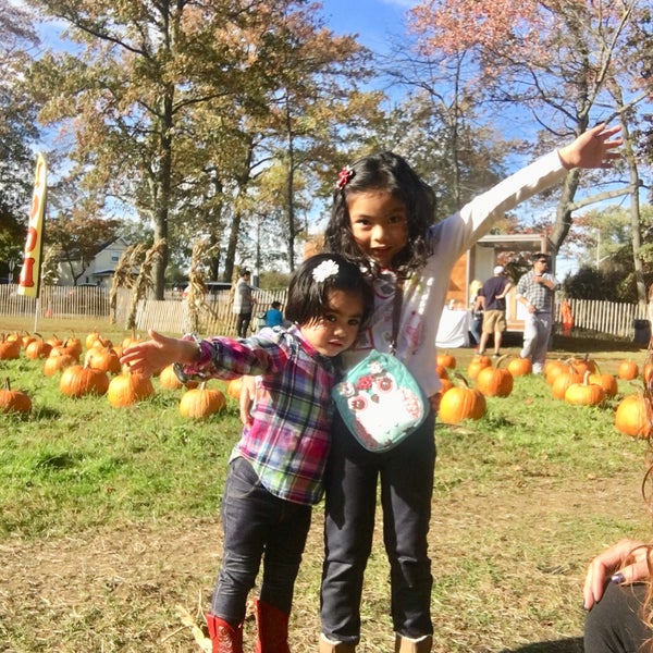 Samaha's Country Farm Market - 9 tips