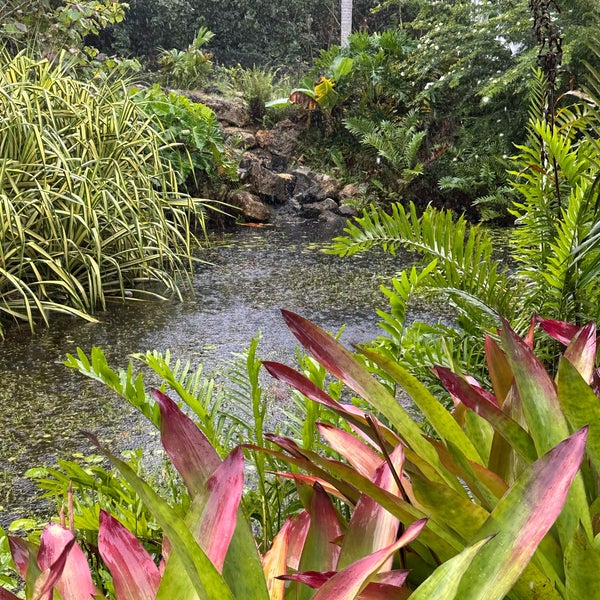 Queen Elizabeth II Botanic Park - Garden in Grand Cayman