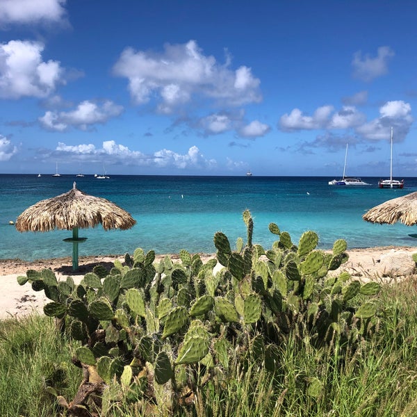 Boca Catalina - 9 tips