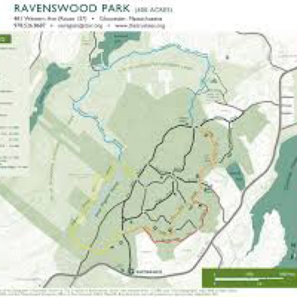 Ravenswood Park - West Gloucester - Western Avenue