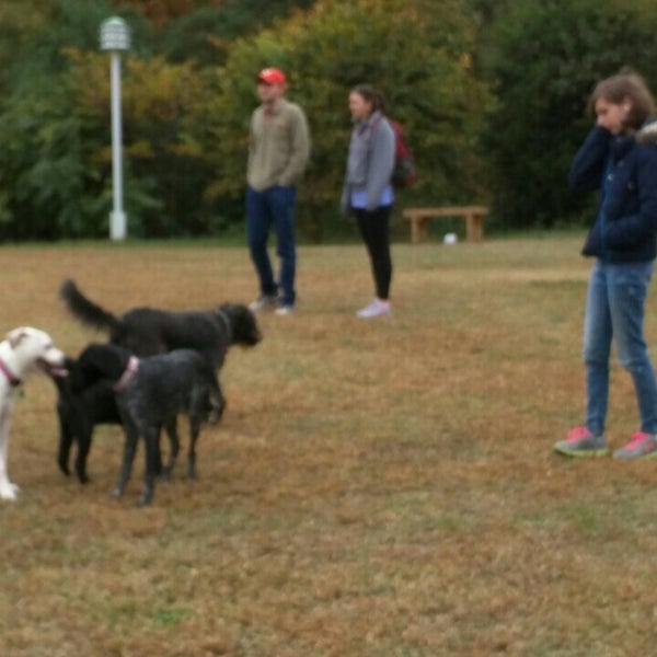 Bandy Field - Three Chopt - 2 tips