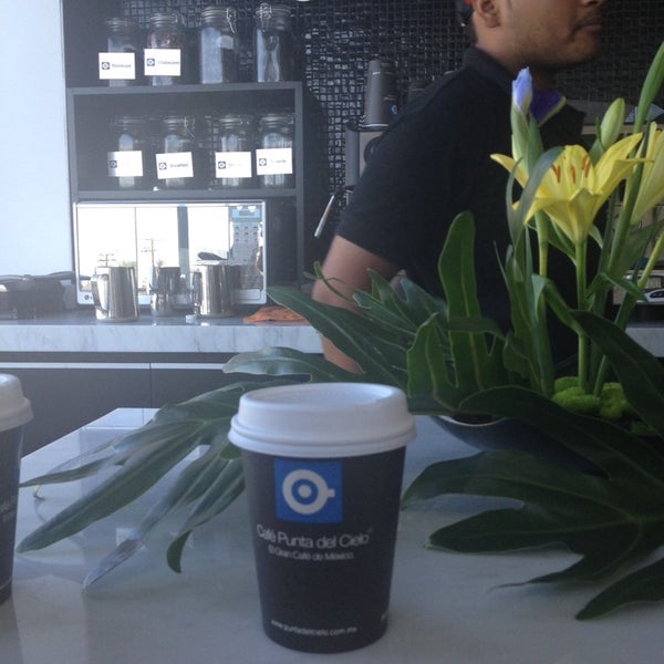 Café Punta del Cielo - Cetys Universidad