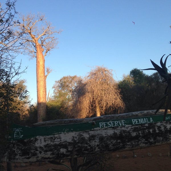 Reniala - Botanical Garden