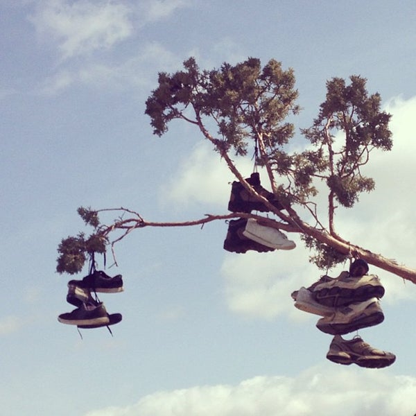 Shoe Tree - Doyle, CA