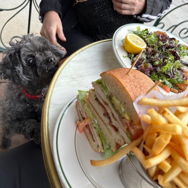 Elysian Cafe - 1001 Washington St