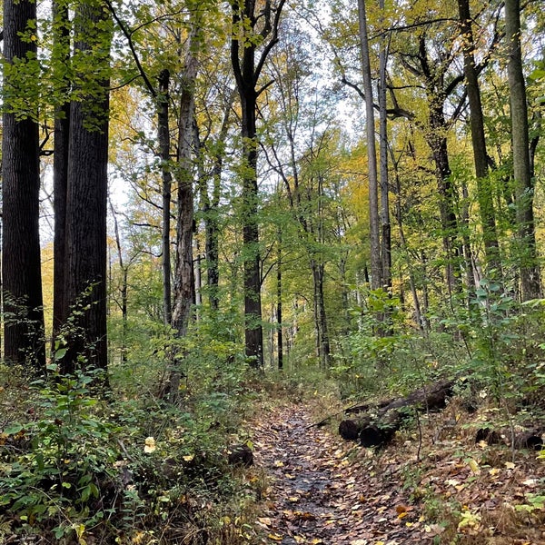 Jockey Hollow - Park in Mendham Township