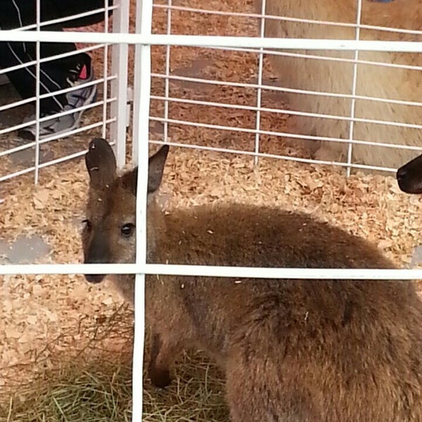 Photos at Game Farm Park - South Auburn - 7 tips