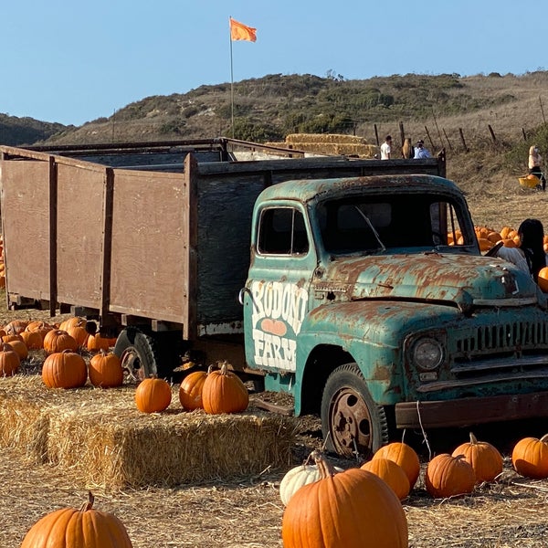 Rodoni Farms Pumpkin Patch - 102 visitors