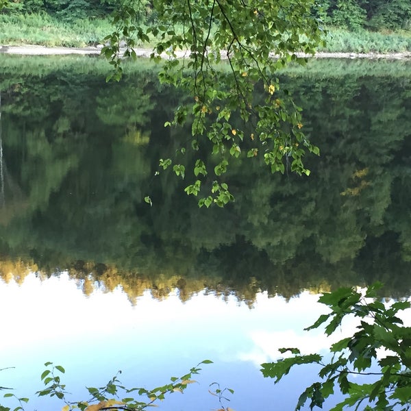 Wilgus State Park - 1 tip from 66 visitors