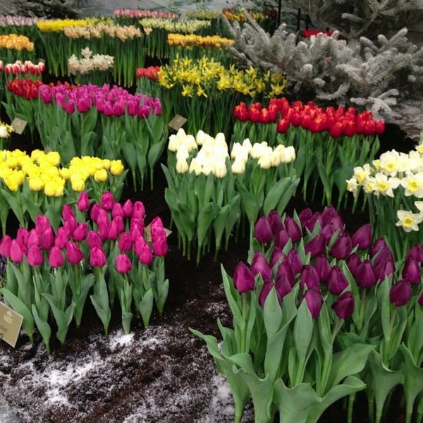 Lentetuin Breezand - Ceresplein