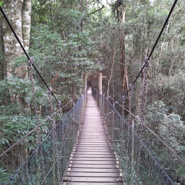 Photos at O'Reilly's Tree Top Walk - Hiking Trail