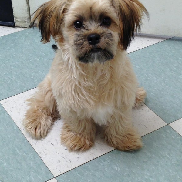 PetSmart - Pet Stores