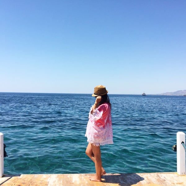 Baby Beach Club - 113 tips