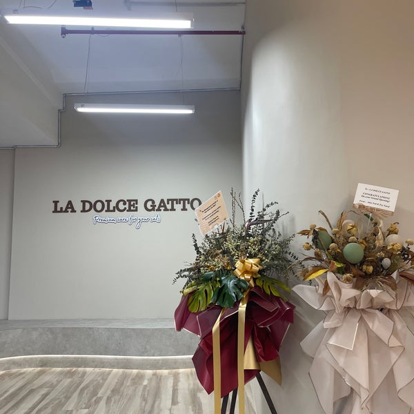 La Dolce Gatto - A1-09, Level 1