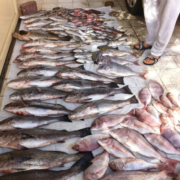 Masirah Island - Beach in Masirah Island