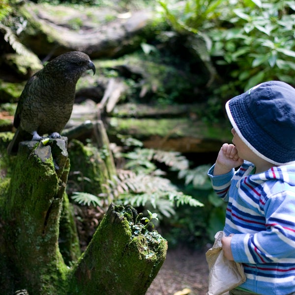 Staglands Wildlife Reserve - 2362 Akatarawa Road