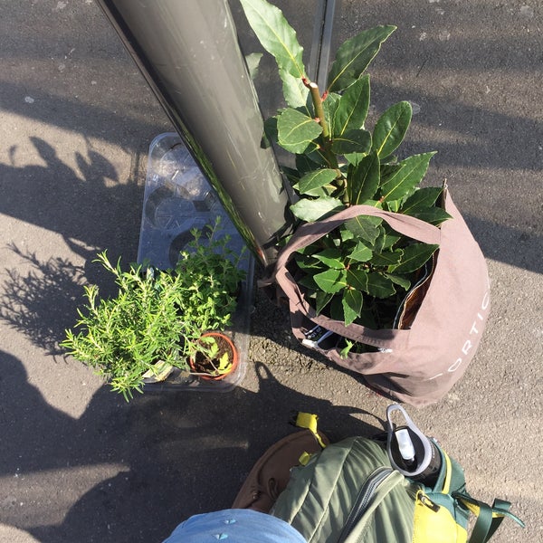 Homebase - Hardware Store in Haringey