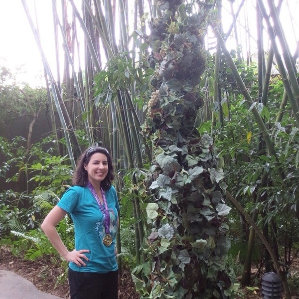 Divine The Tree Lady - Winter Garden, FL