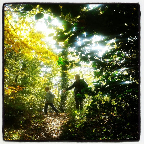 Stari grad Okić - Castle