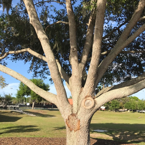 Lake Eva Community Park - Haines City, FL