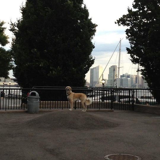 Sirius Dog Run - Battery Park City - New York, NY